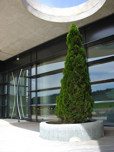 Construction de bureaux HBTP - DODEKA architecte